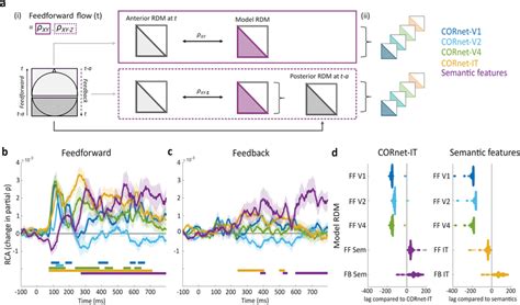 Illustration And Results Of The Meg Sensor Level Representational Download Scientific Diagram