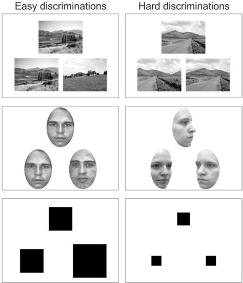 Figure 21 From The Integration Of Memory And Visual Perception In The