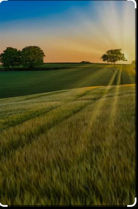 Divya N Nagaraj Divya8nagaraj • Instagram Photos And Videos