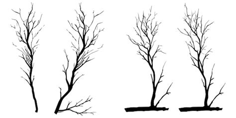 Un Conjunto De Ilustraci N De Vector De Silueta De Ramas De Rbol Vector Premium