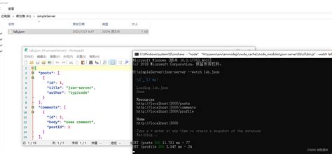 json server提供json接口服务 示例版本 用jsonserver写一个登陆的接口 csdn博客