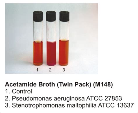 Pseudomonas Fluorescens Broth