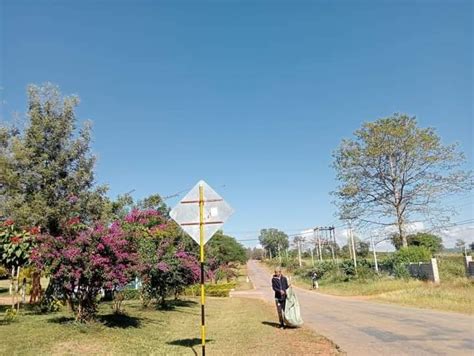 ခိုလမ်မြို့တွင် သန့်ရှင်းသာယာလှပစေရန် လုပ်ငန်းများဆောင်ရွက် Information And Public Relations