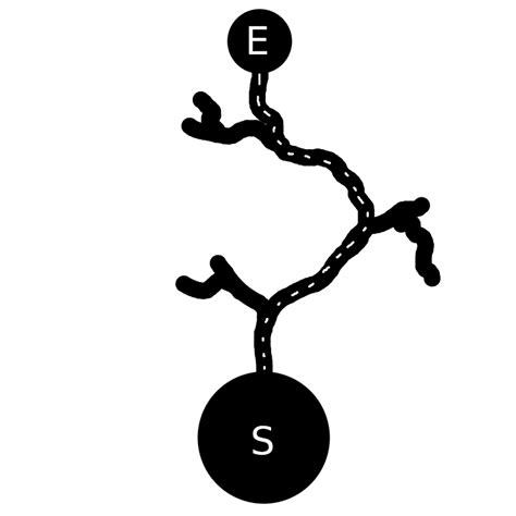 How To Create Procedural Cave Paths Scripting Support Developer Forum Roblox