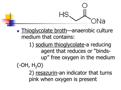 Ppt Culturing Anaerobes Powerpoint Presentation Free Download Id