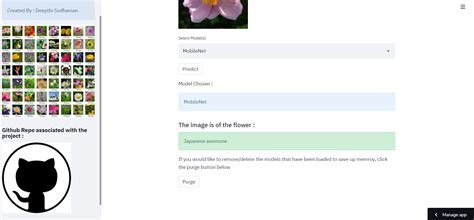 GitHub DeepthiSudharsan Flower Classification Flower Classification Using Pre Trained DL