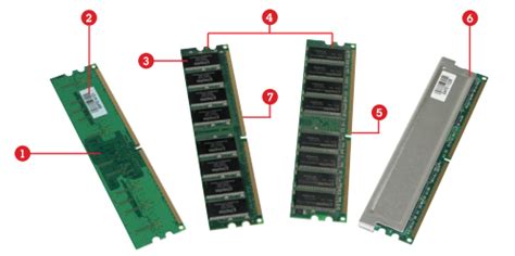 Ensamblaje De La Memoria Ram