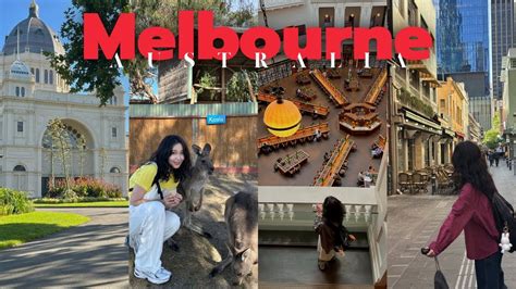 🇦🇺천국 같았던 멜버른 3박 4일 여행 브이로그 🦘 필립아일랜드 투어ミ★ 맛집 카페 숙소 추천 Youtube