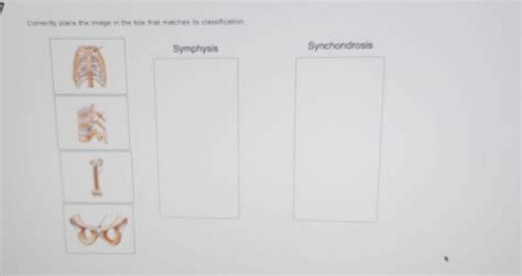 Solved Correctly Piace The Image In The Box That Matches Is