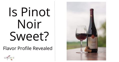 Is Pinot Noir Sweet Flavor Profile Revealed