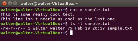 How To Quickly Create A Text File Using The Command Line In Linux