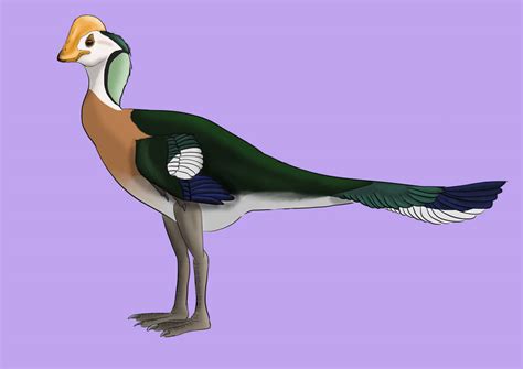 Anzu Wyliei By Rainbowleo On Deviantart