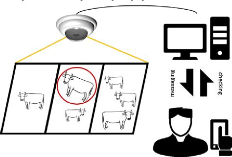 Figure 1 From Real Time Cattle Action Recognition For Estrus Detection