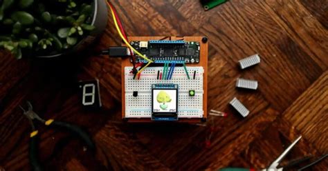 Modelnova Pre Trained Edge Ai Modelsyour Comprehensive Ai Guide