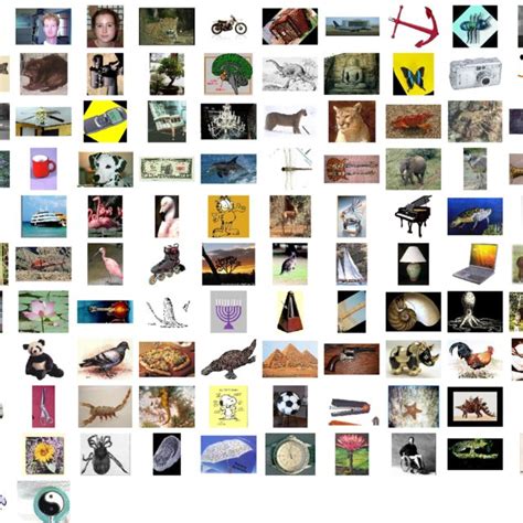 4 Data Set Caltech 101 Download Scientific Diagram