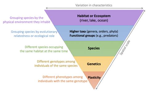 4 Functional Diversity Resource Acquisition Biology Libretexts