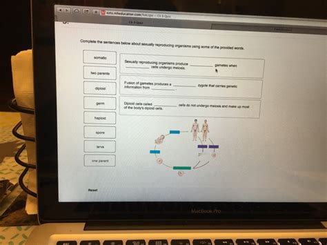 Solved Complete The Sentences Below About Sexually Reprod Chegg Com