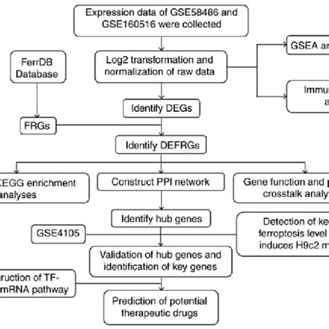 Overall Workflow Of The Present Study Deg Differentially Expressed Download Scientific