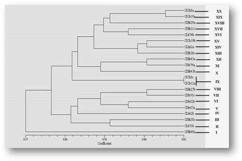 Upgma Unweighted Pair Grouping With Mathematic Average Dendrogram