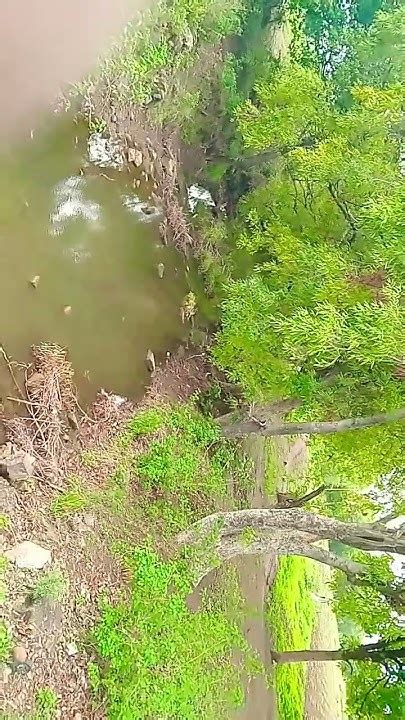 Ritesh Sisodiya Youtube