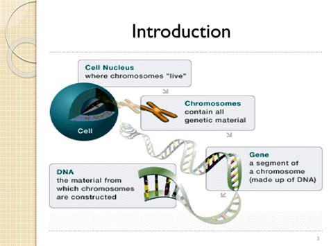 PPT Cell Biology PowerPoint Presentation Free Download ID