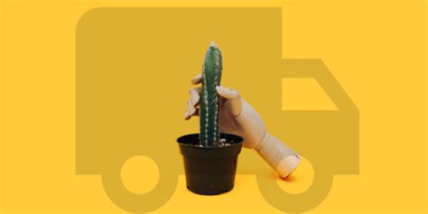 14 Sex Toy Drop Shipping Companies For The Hottest Products Legendary Wallet