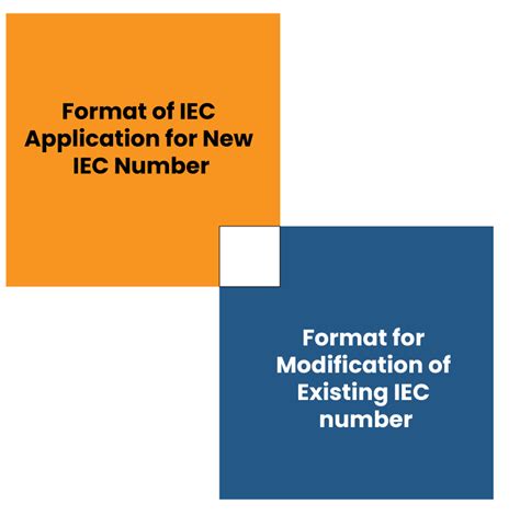 What Is The Format Of Iec Application Corpbiz Advisors