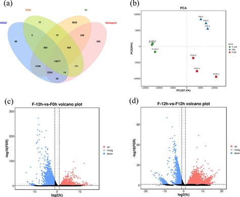 Global Analysis Of Transcriptomes And Degs A Venn Diagram Of Download Scientific Diagram
