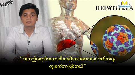 အသည်းရောင်အသားဝါ အေ ရောဂါက အသက်အရွယ်မရွေး ဖြစ်တတ်တယ်။ မသန့်ရှင