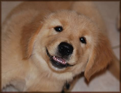 Krl Programming For Dummies Kuka Robot Forum Programming Support And Training Community