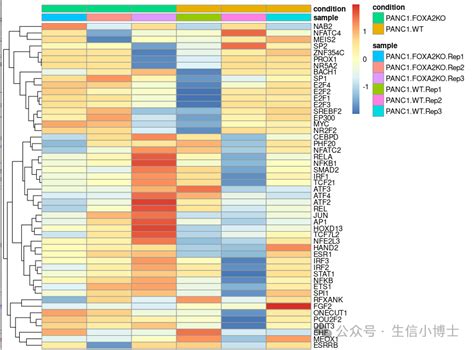 Dorotheacollectri—转录因子活性评分 · Issue 4840 · Ixxmumpduty · Github