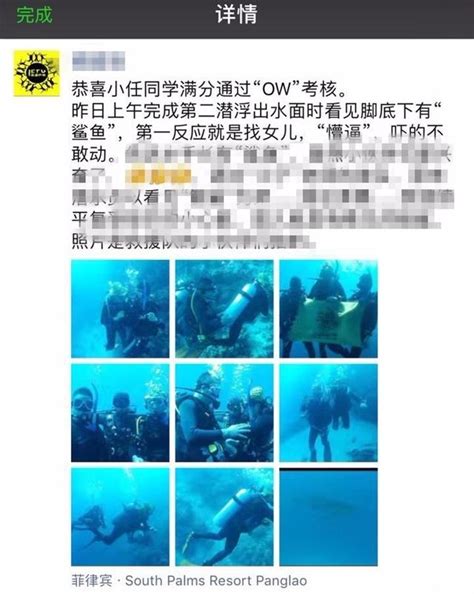 爸爸我腳邊有鯊魚！江陰父女菲律賓玩潛水，遭遇驚魂一幕 每日頭條