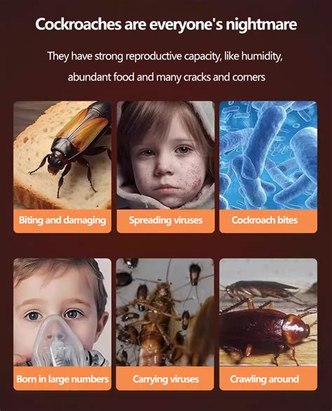 【10 Years Without Cockroaches】thailand Cockroach Killer 120g Cockroach