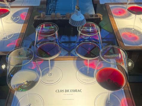 스페인 공인 와인 전문가 바르셀로나 와인 테이스팅한국인