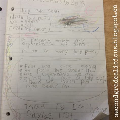 Our Latest Inquiry Project Create Dream Explore