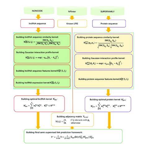 Flowchart Of Lpi Prediction Model Based On Neighborhood Regularized