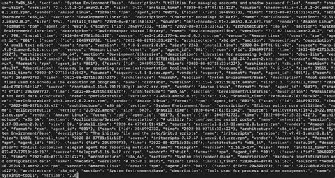 No Vulnerabilities Report Generated For 415 Agent Running Amazon