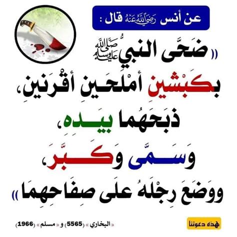 محمد حلمي posted on linkedin
