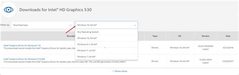 Update Intel Hd Graphics 530 Driver Quickly And Easily Driver Easy