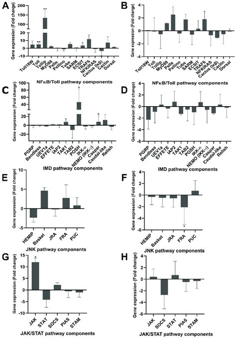 The Results Shown Are Means And Standard Deviation Values Of Gene