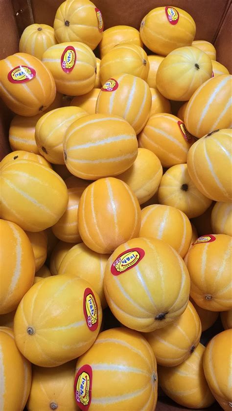 415 화요일 활기차게 ~~~ 두릅참외딸기사과오렌지 세일 참외 10개 만원 21개 2만원 최상급 딸기 3x4 1팩 5500 2 늘푸른야채과일 Band