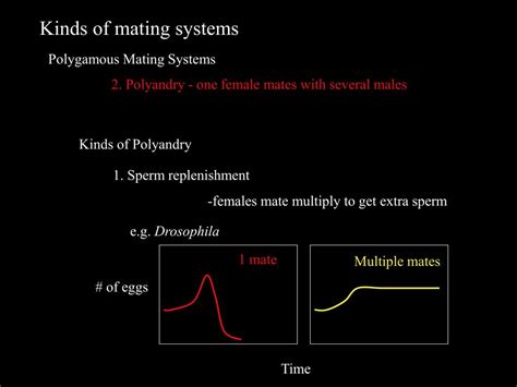 PPT Mating Systems PowerPoint Presentation Free Download ID 1000998