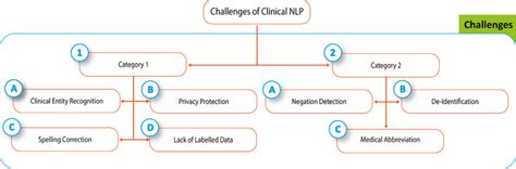 Potential Challenges Of Clinical Natural Language Processing
