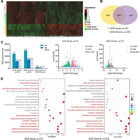 Alterations In Transcriptome And Reactome Enrichment Analysis By