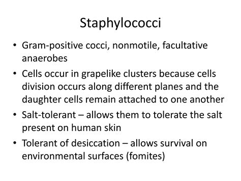 Methicillin Resistant Staphylococcus Aureus Pptx