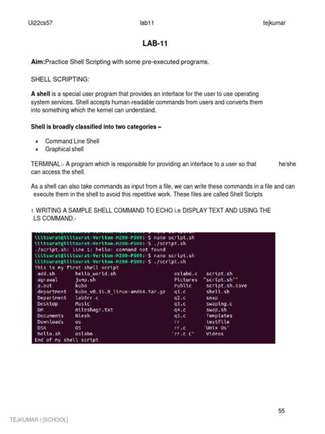 Shell Scripting Basics And Examples Pdf