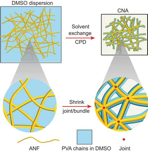 Ultrastrong And Multifunctional Aerogels With Hyperconnective Network Of Composite Polymeric
