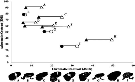 Contrast Measured In Chromatic And Achromatic Contrast Mean Just