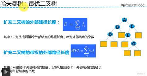 数据结构 树 叶子节点 CSDN博客