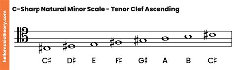 C Sharp Minor Scale Natural Harmonic And Melodic